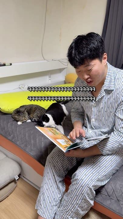 동화 읽어줘야 자는 고양이 Youtube