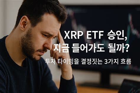 리플 Etf 승인되면 폭등 지금 들어가도 될까