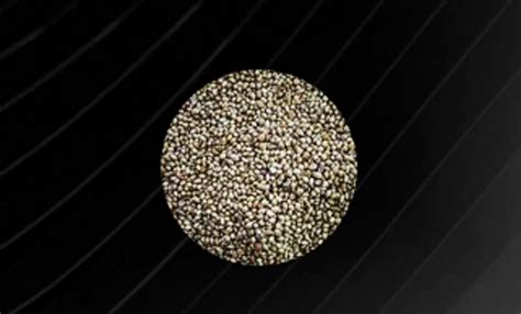 Agri Commodities Traders At Best Price In Ahmedabad Id 2853097699997