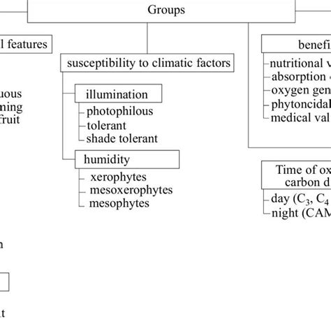 Classification Of Plants By Useful Properties Download Scientific Diagram