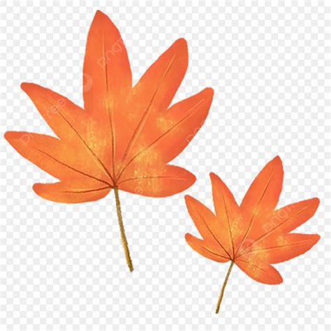 만화 일러스트 빨강 가을 단풍 잎 무료 일러스트의 노란 메이플 리프 클립 아트 만화 빨간 Png 일러스트 및 Psd 이미지
