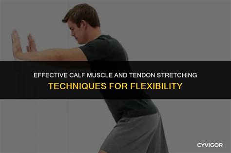 Effective Calf Muscle And Tendon Stretching Techniques For Flexibility