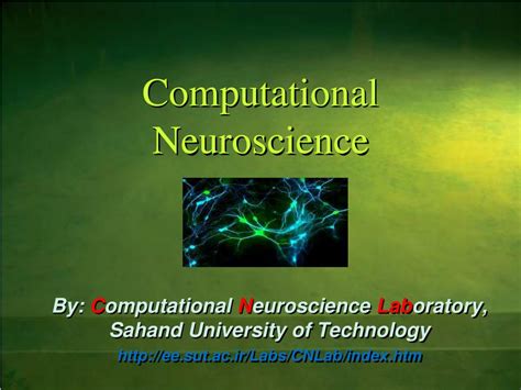 Ppt Computational Neuroscience Powerpoint Presentation Free Download