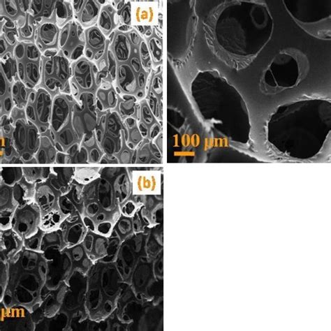 Sem Micrographs Of Bare Pu Foam A Pedotpss Coated Pu Foam B And