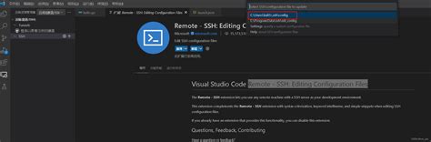 Go Vscode远程开发和调试vscode Go 远程调试delve Csdn博客
