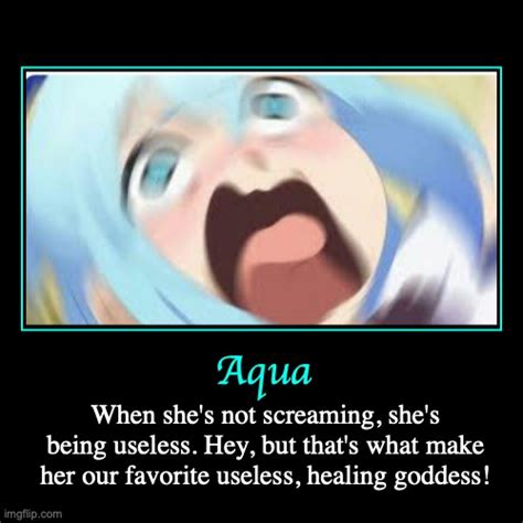 Memes Aqua Sachet