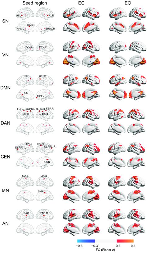 Seed Regions Of Seven Networks And Their Fc Maps In Ec And Eo Download Scientific Diagram