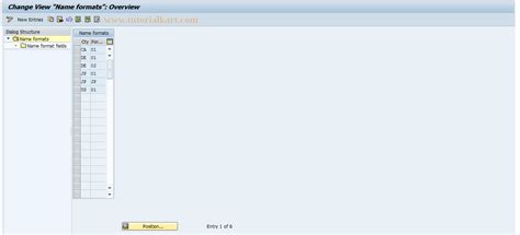 SA13 SAP Tcode Name Format Rules SA13 SAP Tcode Name Format Rules