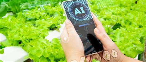The Role Of Ai And Machine Learning In Smart Farming