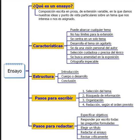 Estructura De Un Ensayo