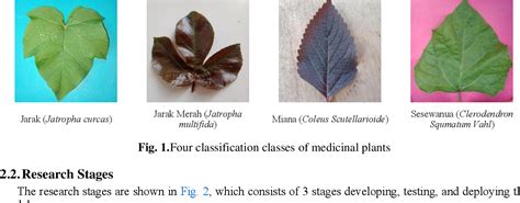 Figure 1 From Web Based System For Medicinal Plants Identification Using Convolutional Neural