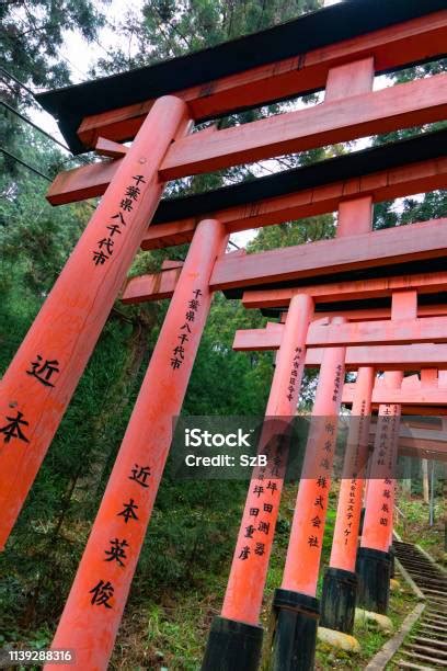 숲에 있는 이나리 산의 도리이 문 클로즈업 후시미 이나리 타이 샤 교토 일본 Inari Shrine에 대한 스톡 사진 및 기타 이미지 Inari Shrine 건축