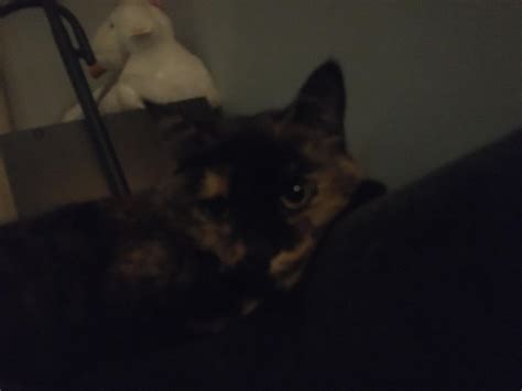 She Knows Shes Cute R Disneyeyes