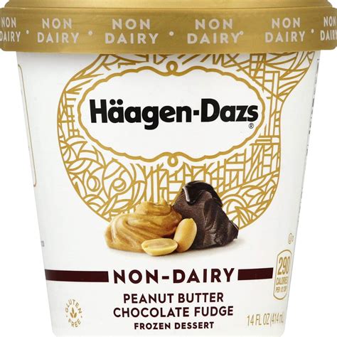 Haagen Dazs Non Dairy Peanut Butter Chocolate Fudge Frozen