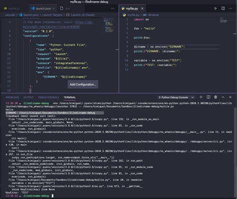 launch envfile cannot use the variable {filedirname} · issue 11915