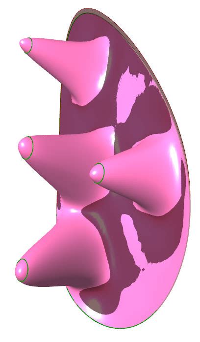 Python Longer Version Of Rhinogeometrycreatepatch Expected