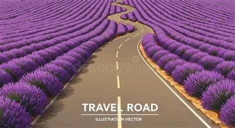 A Winding Road Cuts Through Expansive Fields Of Flowering Lavender