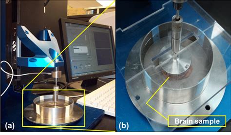 A Quasi Static Compression Test On The Porcine Brain Using The