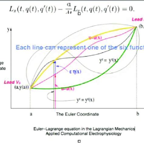 Lagrangian Mechanics To Explore The Interactions And Communication Download Scientific Diagram