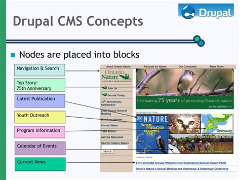 ppt open source cms drupal overview powerpoint presentation free