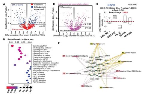 Insights Into The Proteome Of Tumor Derived Exosomes Reveals New Potential Diagnostic Biomarkers