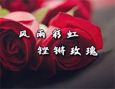 风雨彩虹铿锵玫瑰钢琴谱 田震 F调 流行钢琴谱五线谱独奏谱 钢琴谱 钢琴五线谱 钢琴简谱 钢琴弹唱谱 钢琴声乐正谱 钢琴视频教程牛牛钢琴
