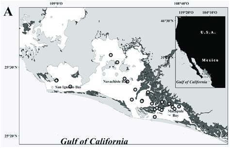 Study Area And Sampling Points In The NAV Complex Download Scientific Diagram