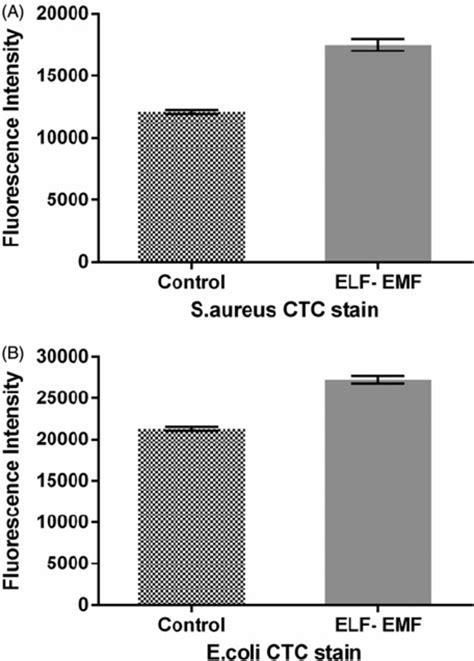 Dapi Staining Of Bacterial Dna The Bacteria Were Exposed To 50 Hz 1