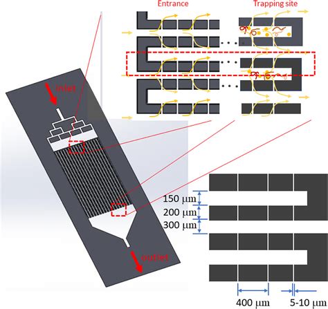 Frontiers Application Of A Novel Rectangular Filtering Microfluidic Device For Microfilarial