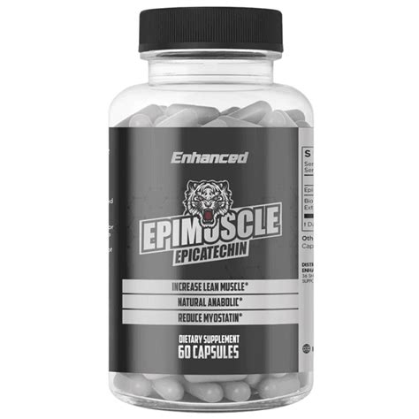 벌크와 커팅의 최강자 Muscle Korea Muscle Korea