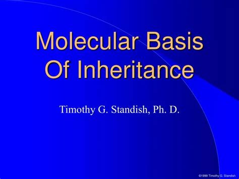 PPT Molecular Basis Of Inheritance PowerPoint Presentation Free Download ID