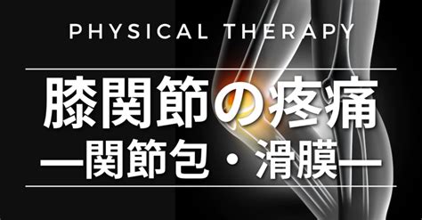 膝関節の疼痛 関節包・滑膜 理学療法士・作業療法士・言語聴覚士の求人、セミナー情報なら【post】