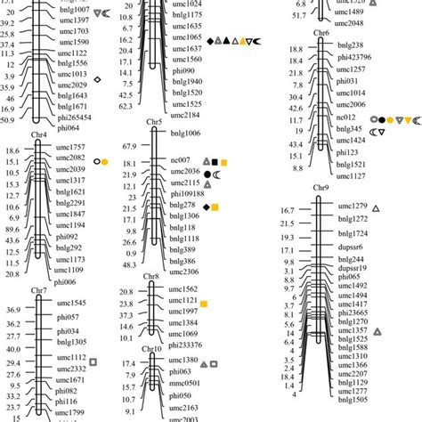 Molecular Linkage Map Of Dh Families And Distribution Of Qtl For Ear Download Scientific