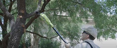 How To Cut Tree Limbs That Are Too High To Reach