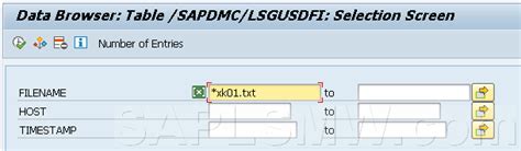 How To Find A Lost Lsmw Object