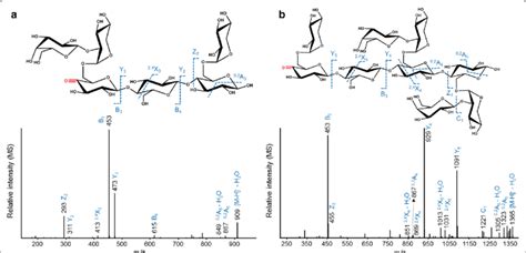 Negative Ion Mode Cid Msms Fragmentation Patterns Of C4 Oxidized