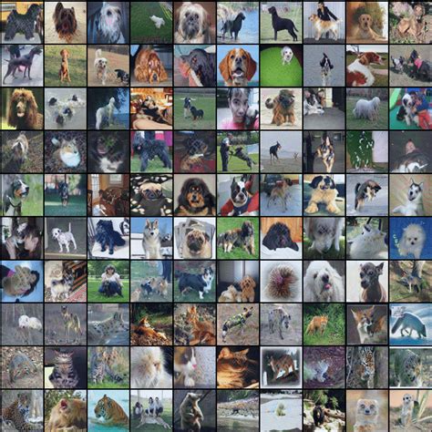 Figure 12 From Scaling Up Dataset Distillation To Imagenet 1k With Constant Memory Semantic