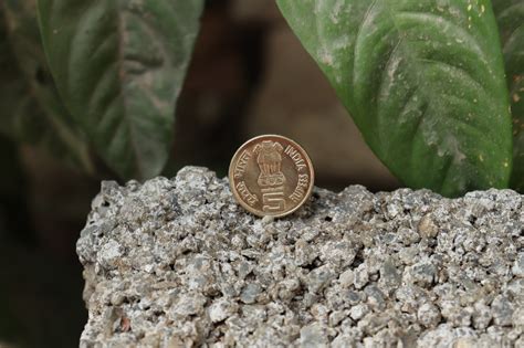 동전 루피 돈 인도 Pixabay의 무료 사진 Pixabay