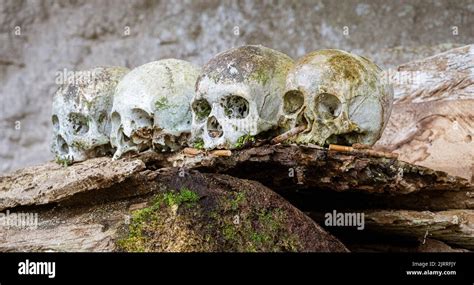 Java Indonesia June 13 2022 Hanging Coffins Were Common In Toraja