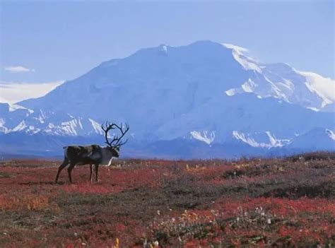 ბუნებრივი ზონირება გრძივი და სიმაღლის ზონირება Საშუალო განათლება და სკოლები