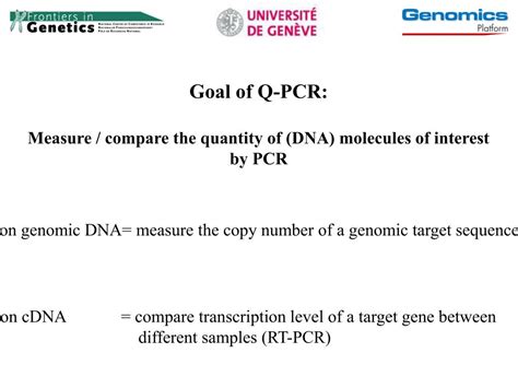 PPT Real Time PCR Quantitative PCR PowerPoint Presentation Free Download ID 4309899