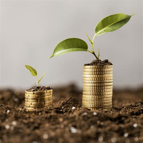 Netsuite Pricing Guide How Much Does Netsuite Cost Cloud Doing Good