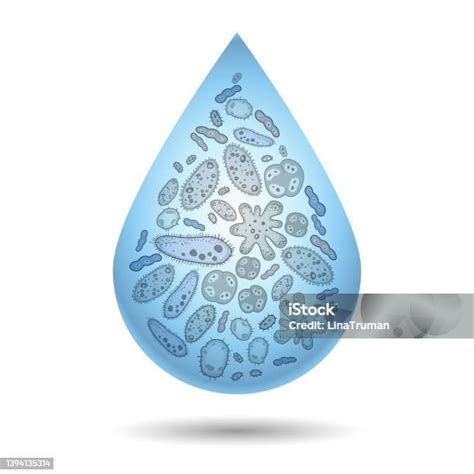 더러운 물 방울에있는 미생물 박테리아 및 바이러스 감염 그림 벡터 벡터에 대한 스톡 벡터 아트 및 기타 이미지 벡터 0명 개념 Istock
