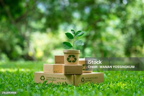 제로 웨이스트 개념 환경 친화적 인 포장 재활용 감소 재사용 환경 구색 환경 친화적 인 사업 0에 대한 스톡 사진 및 기타 이미지 Istock