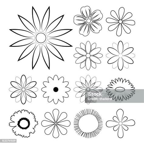 꽃 윤곽선 꽃 라인 아트 세트입니다 꽃 아이콘 벡터 세트입니다 흰색 배경에 분리된 꽃 윤곽선 벡터 그림입니다 디자인 요소 검은색에 대한 스톡 벡터 아트 및 기타 이미지
