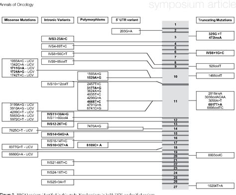 Figure 1 From Brca1 And Brca2 Genetic Testing In Italian Breast And Or Ovarian Cancer Families