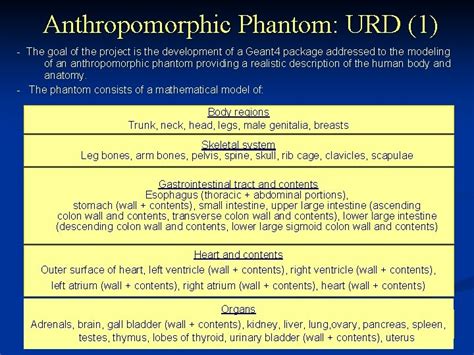 Anthropomorphic Phantoms Analytical And Voxel Models Status And