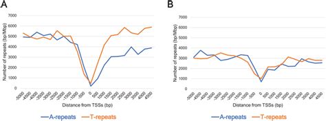 Distribution Of Long A And T Repeats ⩾10 Bp Around Transcription Download Scientific Diagram