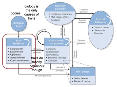 Lecture 3 Flashcards Quizlet
