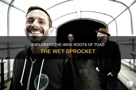 Exploring The Indie Roots Of Toad The Wet Sprocket Petshun